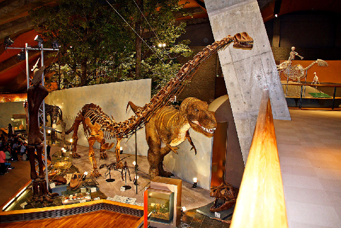 Chloé In Japan - Préfecture de Gunma - Gunma Museum of Natural History
